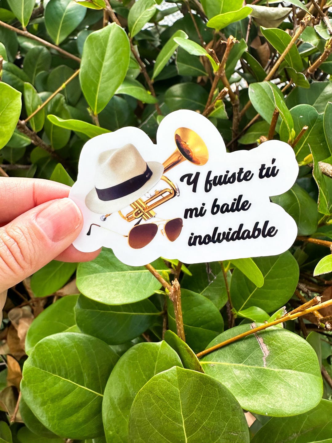 Debí Tirar Más Fotos Sticker/dtmf/baile Inolvidable/puerto Rico/bunny ...