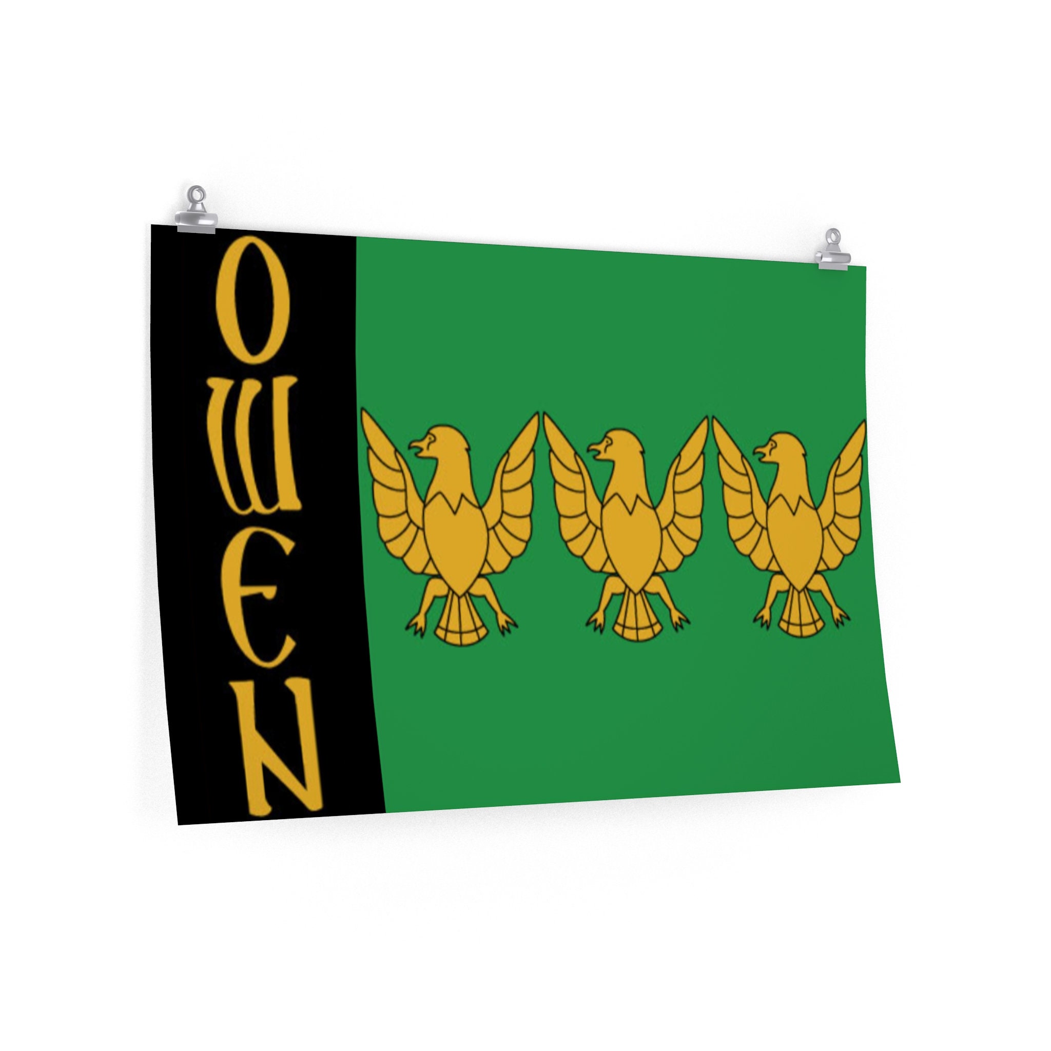 Owen Family Crest Poster - Etsy