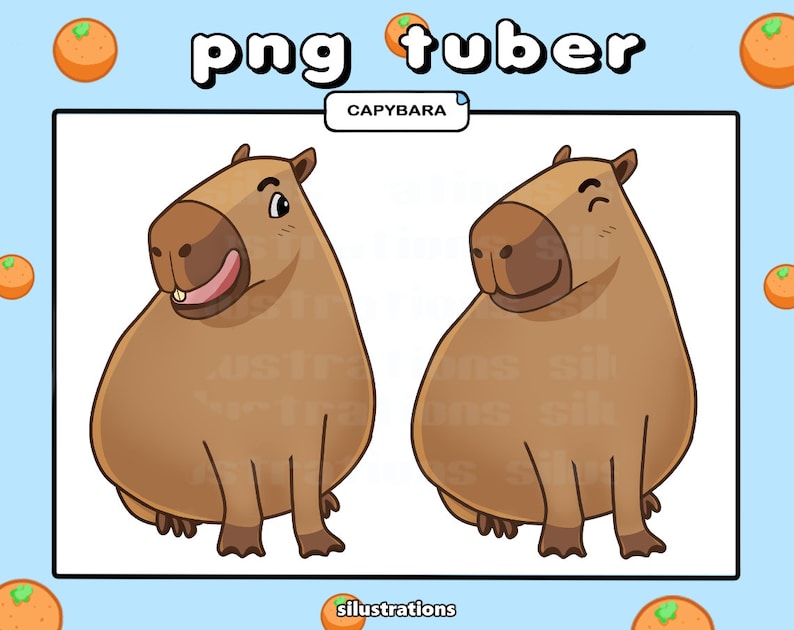 Pngtuber - Capybara | 4 EXPRESSIONS | Cute | Kawaii | Twitch | Youtube ...