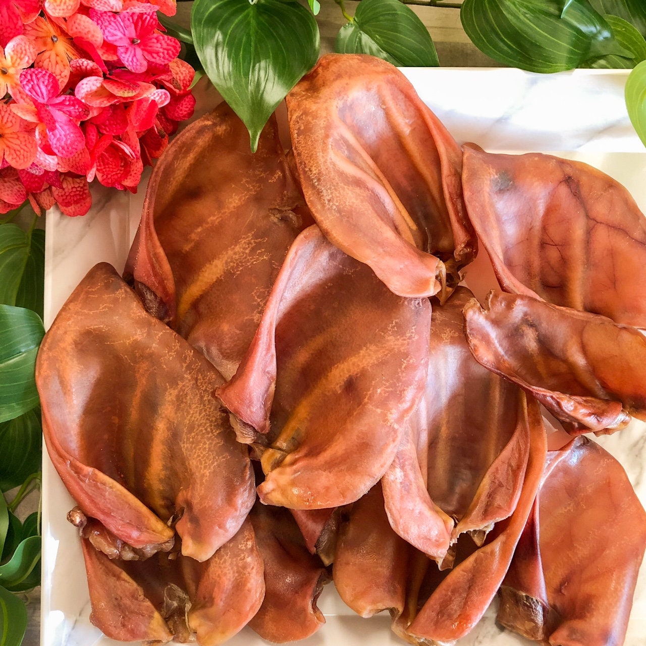 Pig Ears for Dogs, Chews for Dogs, Heavy Chews, Highly Digestible, All ...