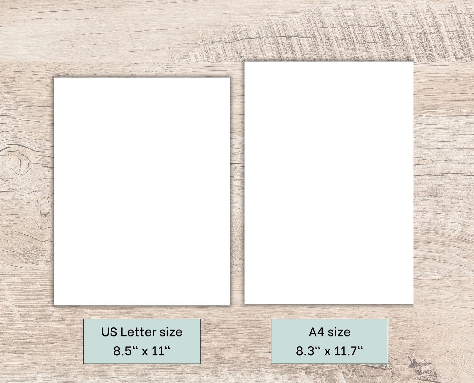 Chicken Printable Stationery, Letter Writing Paper, US Letter, A4 Sizes ...