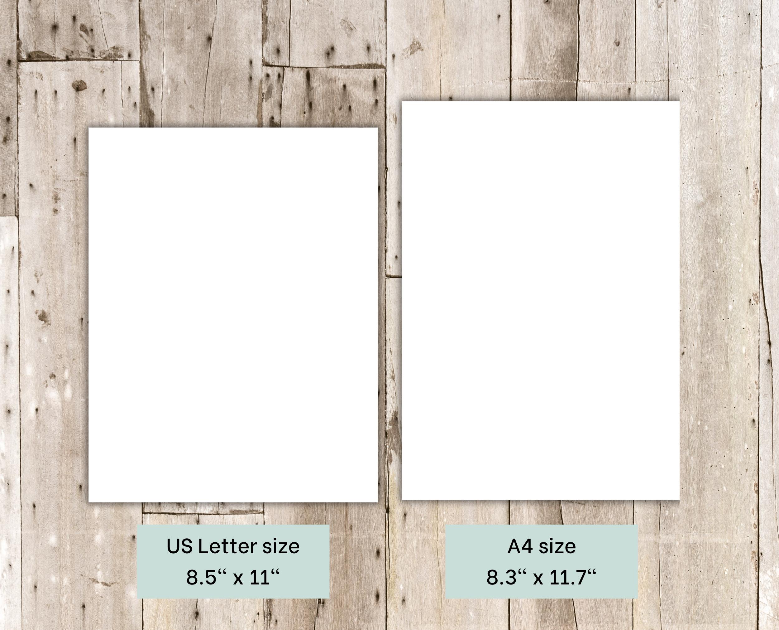 Chicken Printable Stationery, Letter Writing Paper, US Letter, A4 Sizes ...