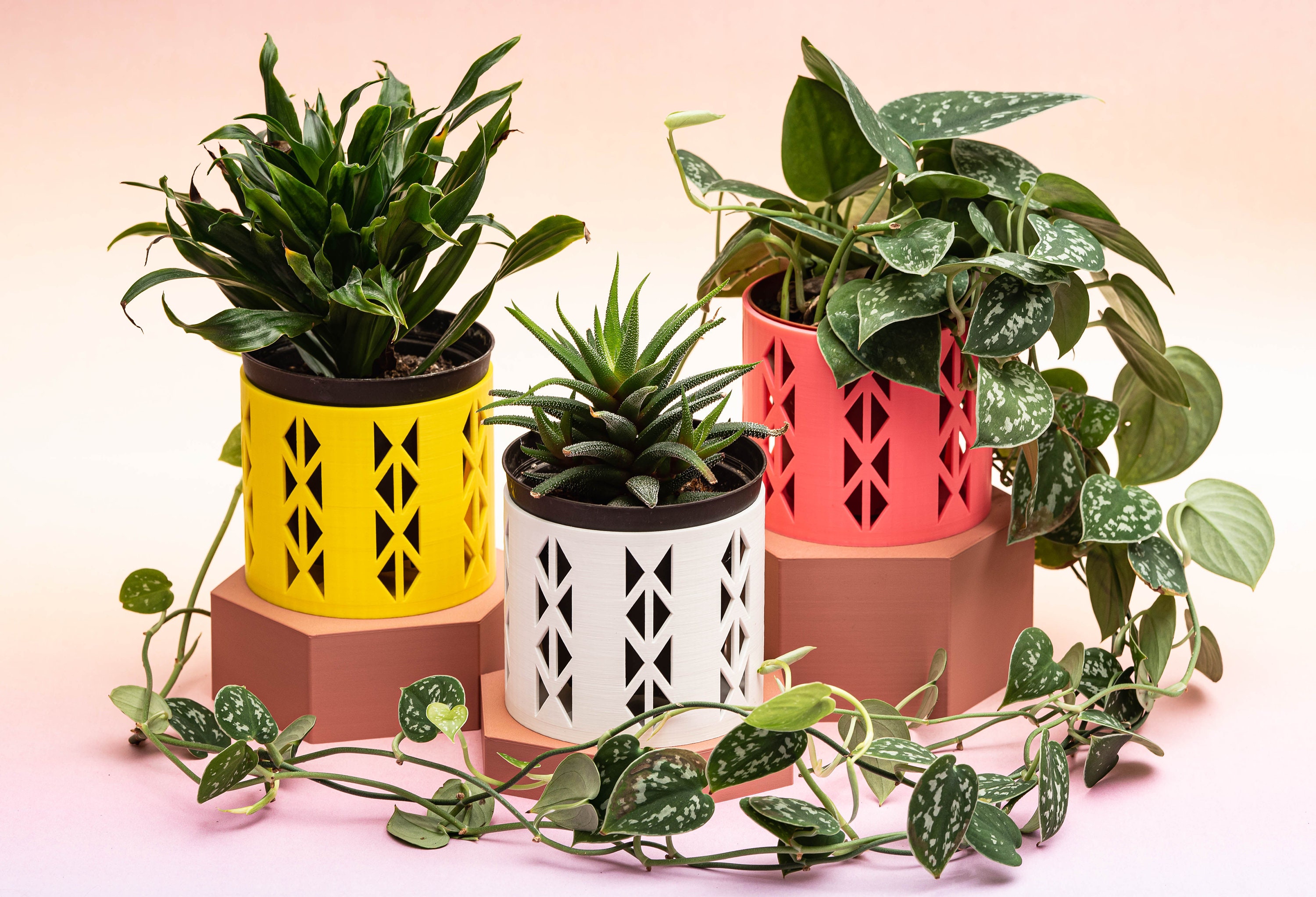 Orchid Triangle Pot/planter for Aroids/tropicals/houseplants, 4-inch ...