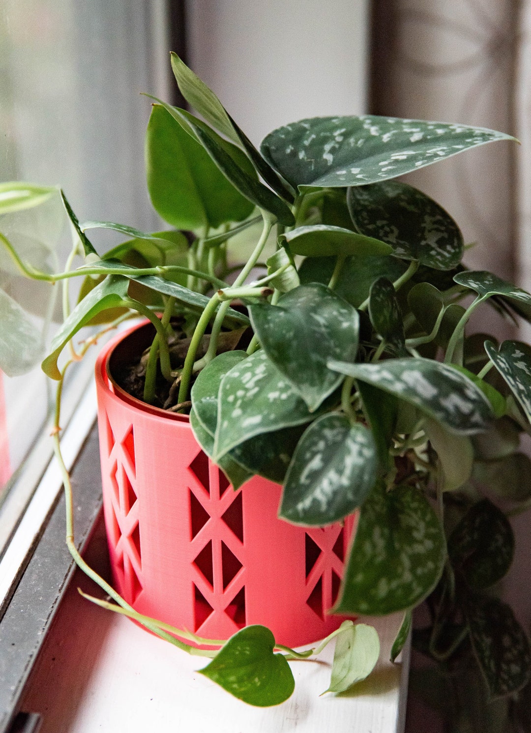 Orchid Triangle Pot/planter for Aroids/tropicals/houseplants, 4-inch ...