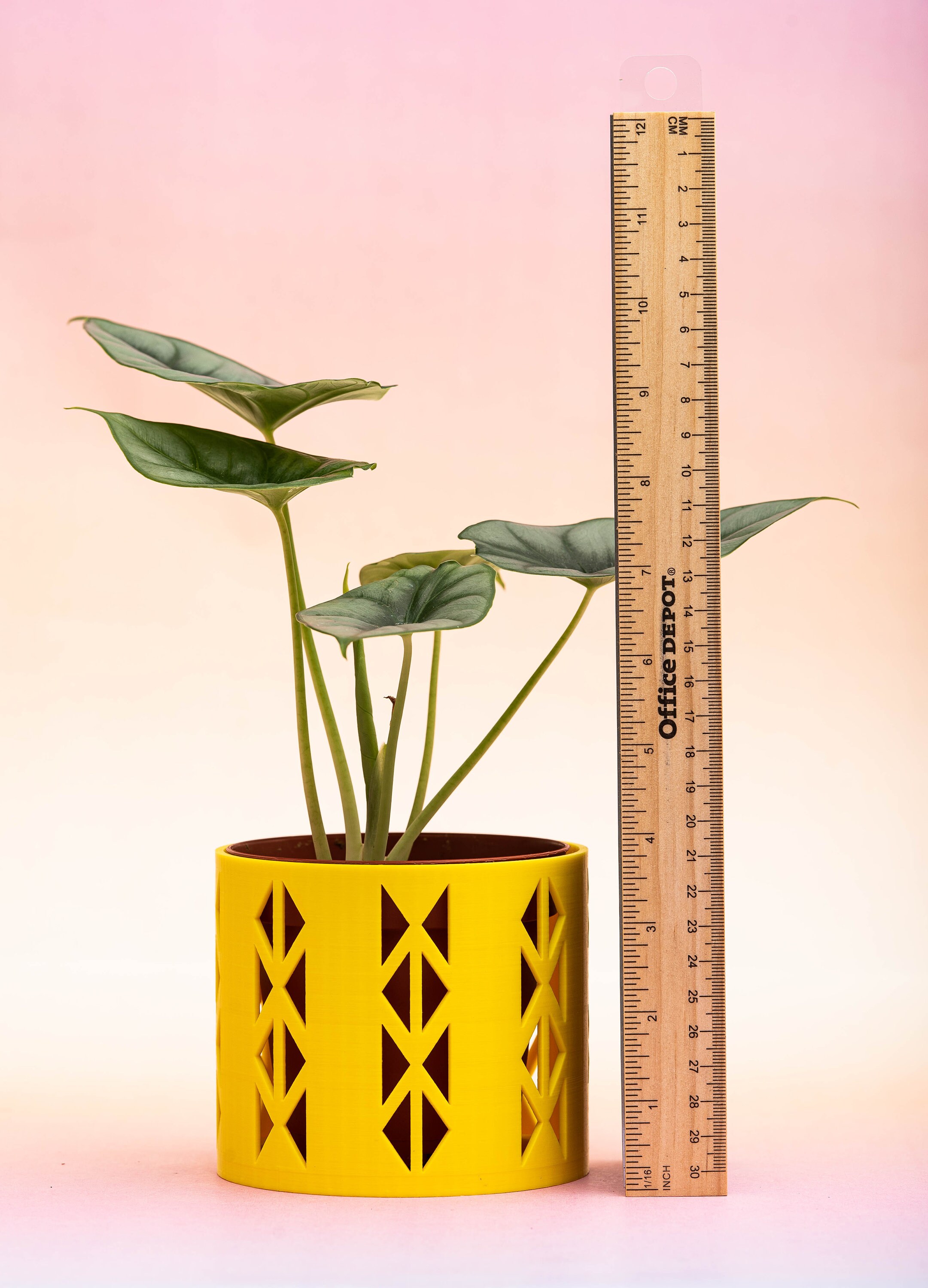 Orchid Triangle Pot/planter for Aroids/tropicals/houseplants, 4-inch ...