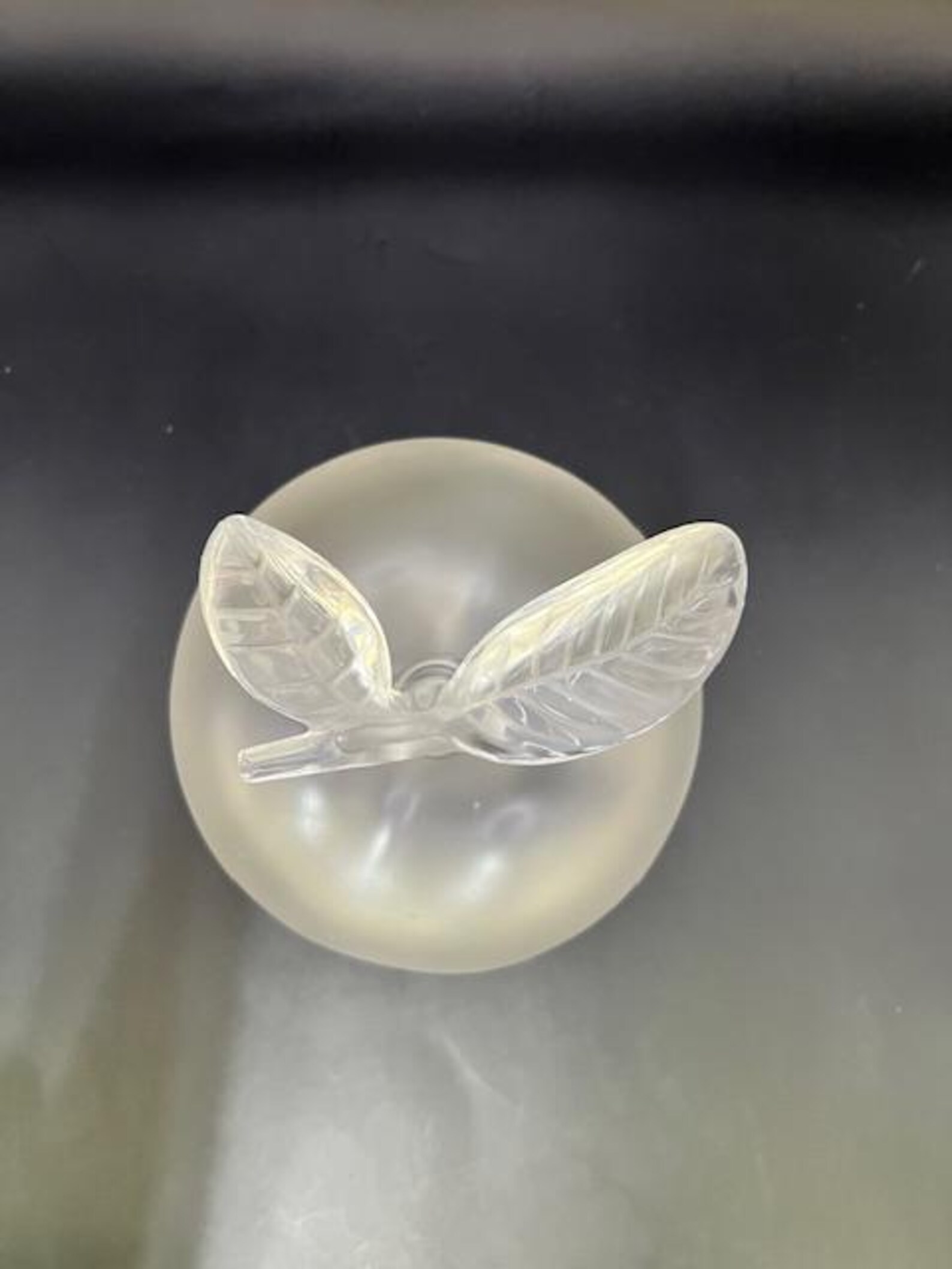 Lalique Nina Ricci Grand Pomme Crystal Apple Perfume Bottle - Etsy