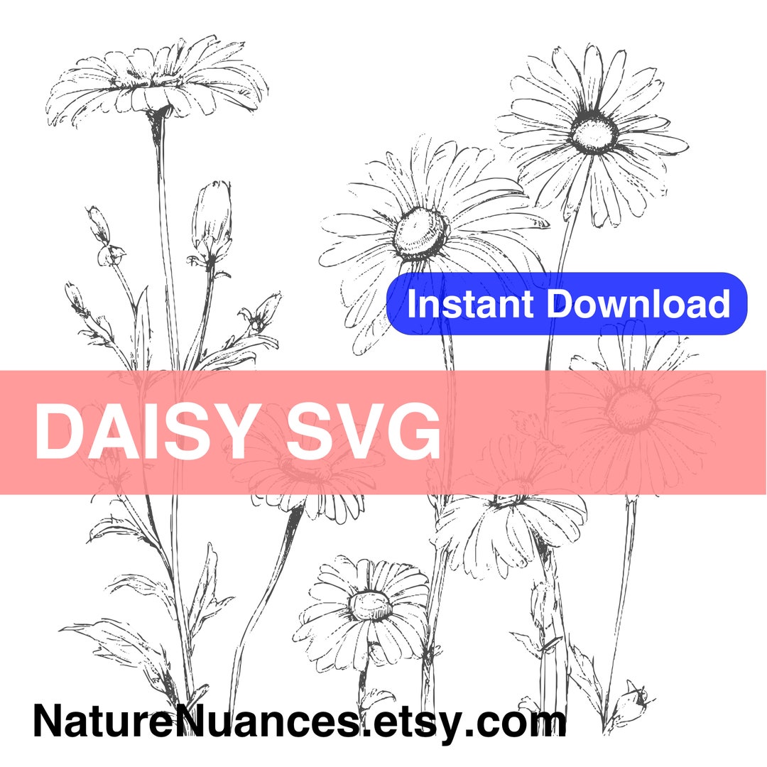 Daisy Instant Download SVG File - Hand-drawn Floral Design for Wedding ...