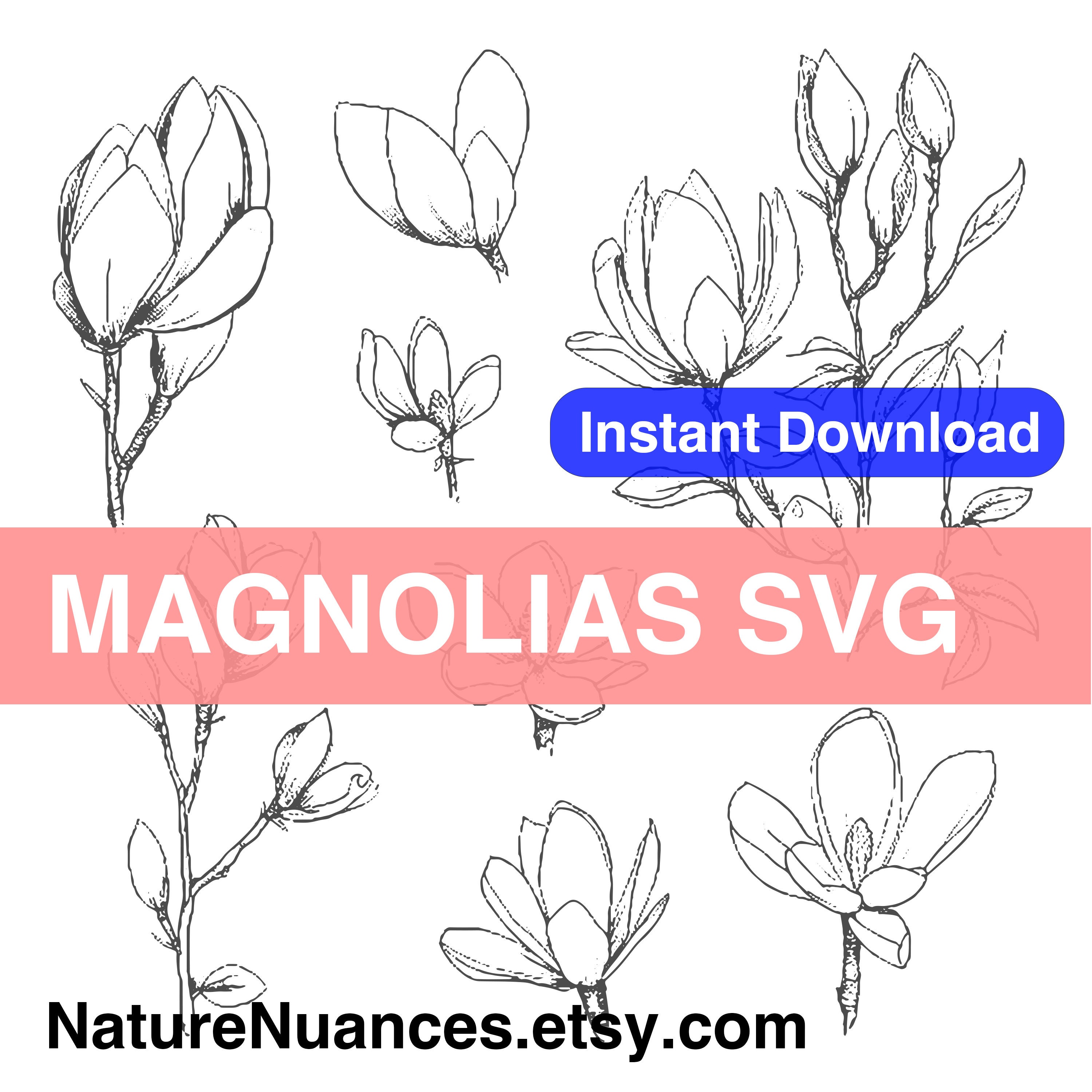 Magnolia Blossoms Instant Download SVG File - Hand-drawn Floral Design ...