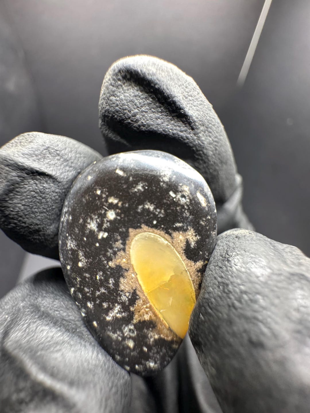 Contra Luz Opal in Matrix, USA (collectors Item , Display, Lapidary) - Etsy
