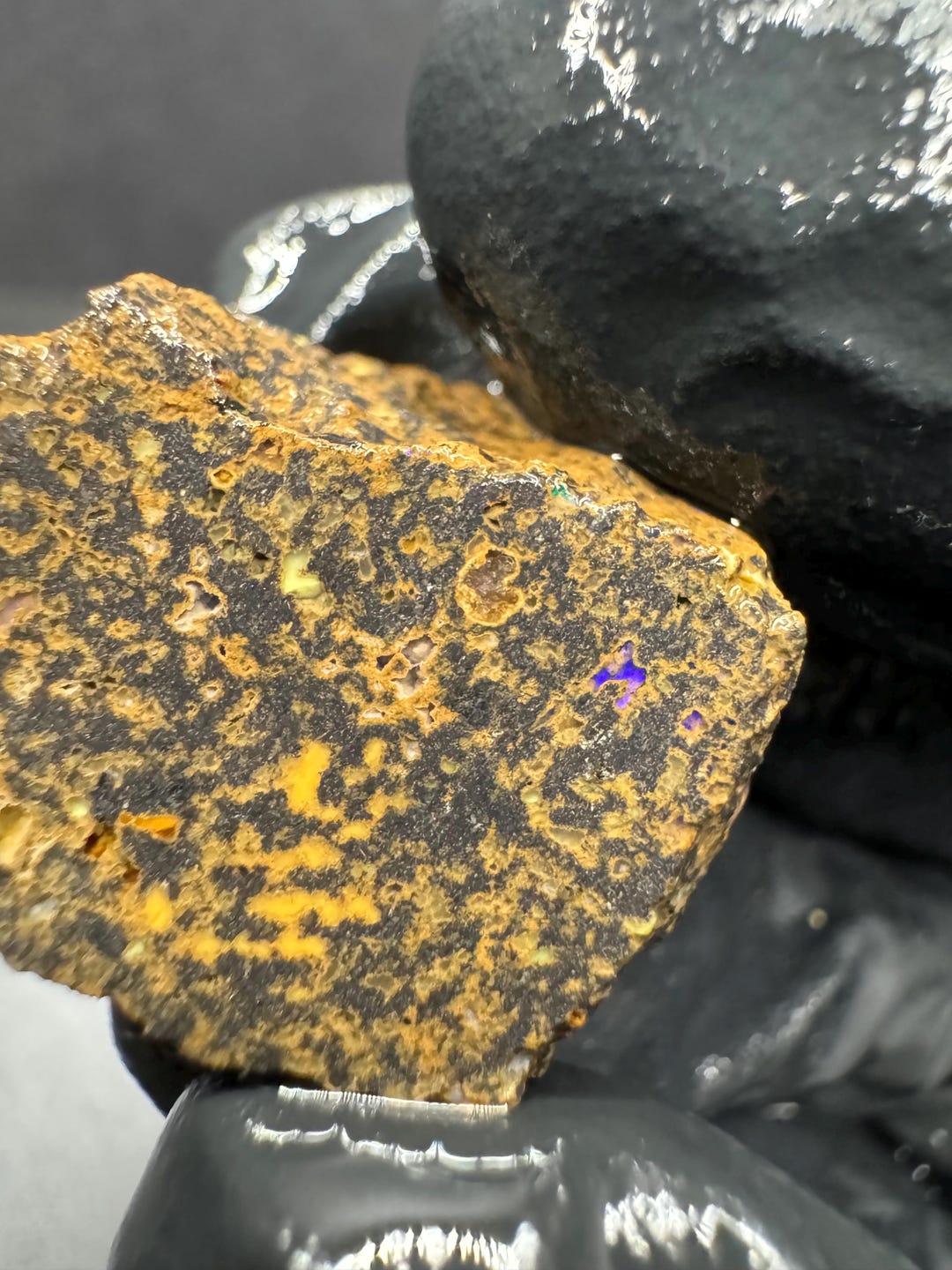 Leopard Opal Cutoffs Parcel beginner Lapidary & Practice opal From ...