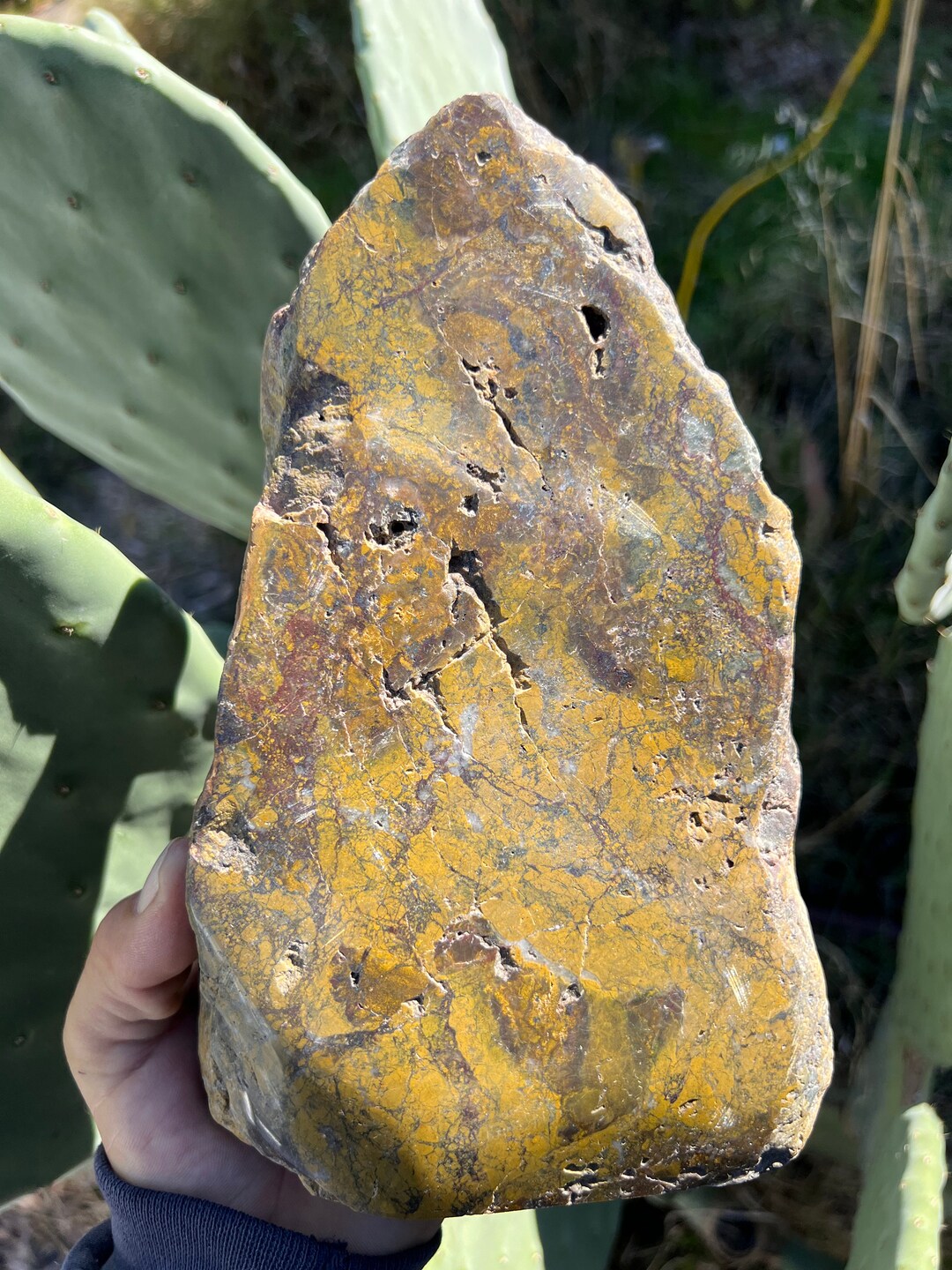 Large Freeform California Jasper Display - Etsy Australia