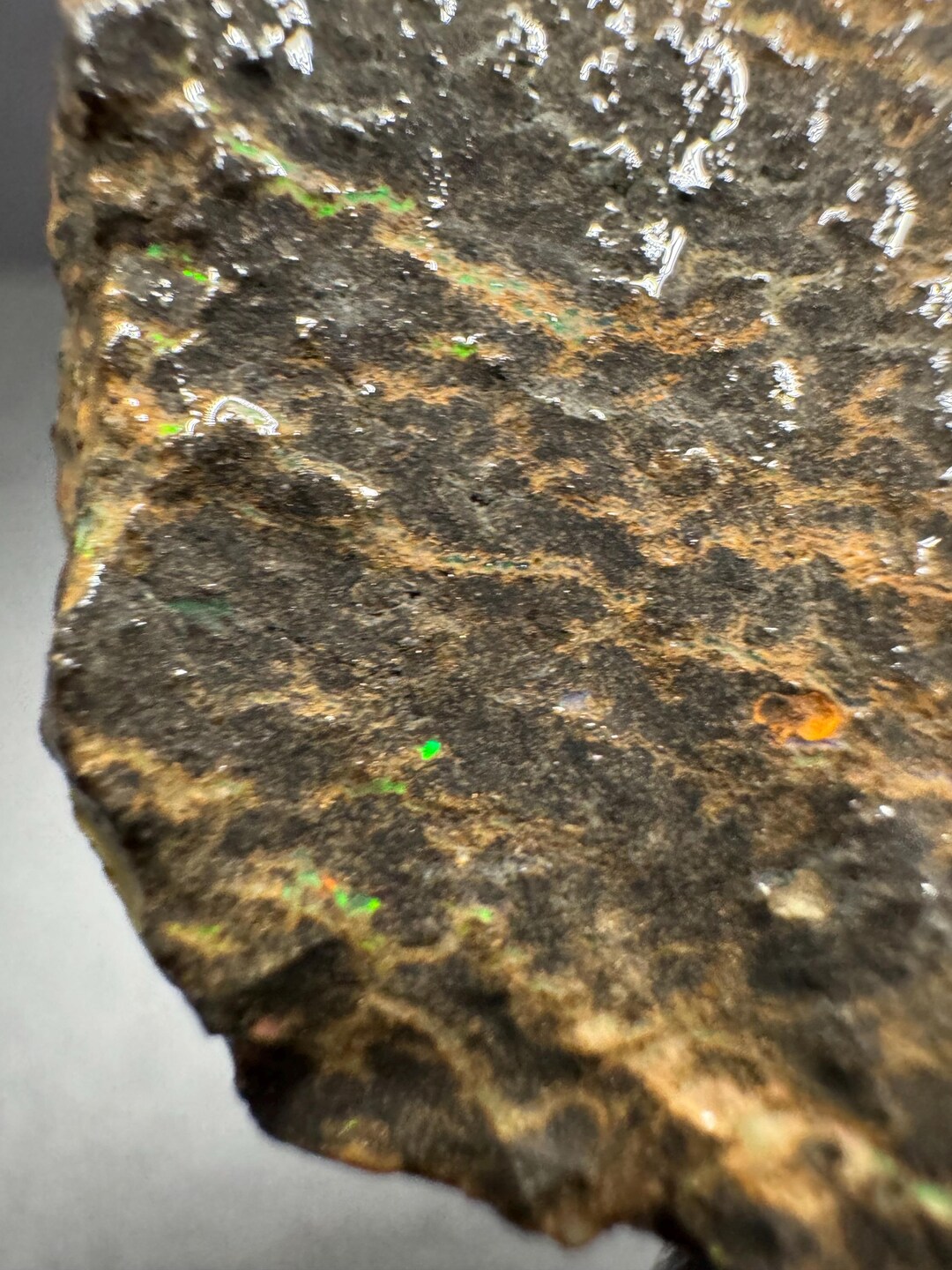 Leopard Opal Rough lapidary or Specimen opal From Mexico matrix Opal - Etsy