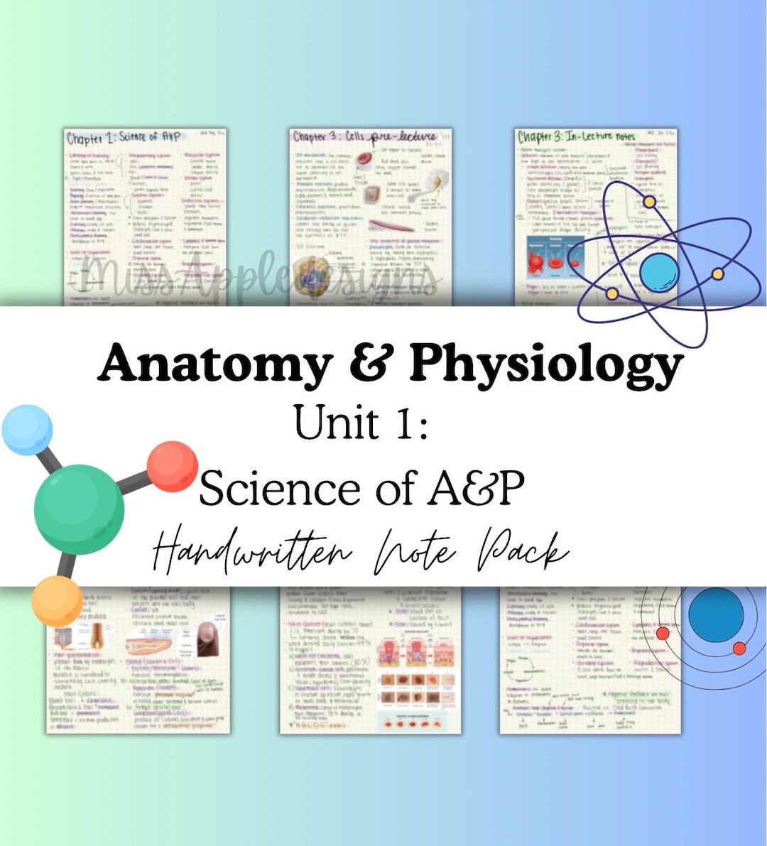 Anatomy & Physiology 1 Unit 1 - Handwritten Lecture Notes - Etsy Australia