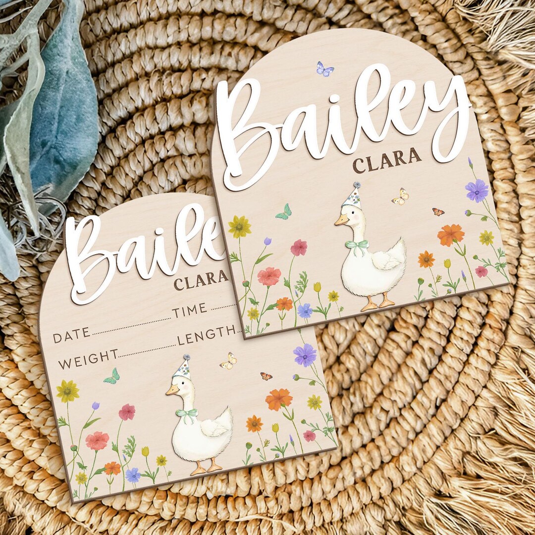 Custom Baby Name Sign, Baby Announcement Sign, Baby Goose Name Sign ...