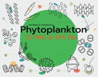 Cute Algae Volvox/ Plankton Cartoon Character/ Microalgae Art/ - Etsy