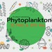 Phytoplankton Clip Art Bundle/ Algae Art/ Microalgae and Cyanobacteria ...