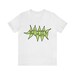 Cute Algae Acutodesmus / Microalgae Cartoon Character/ Lovely Green ...