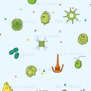 Cute Microalgae and Cyanobacteria/ Lovely Cartoon Phytoplankton/ Gift ...