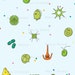Cute Microalgae and Cyanobacteria/ Lovely Cartoon Phytoplankton/ Gift ...