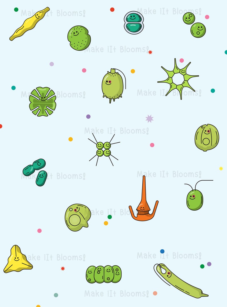 Cute Microalgae and Cyanobacteria/ Lovely Cartoon Phytoplankton/ Gift ...