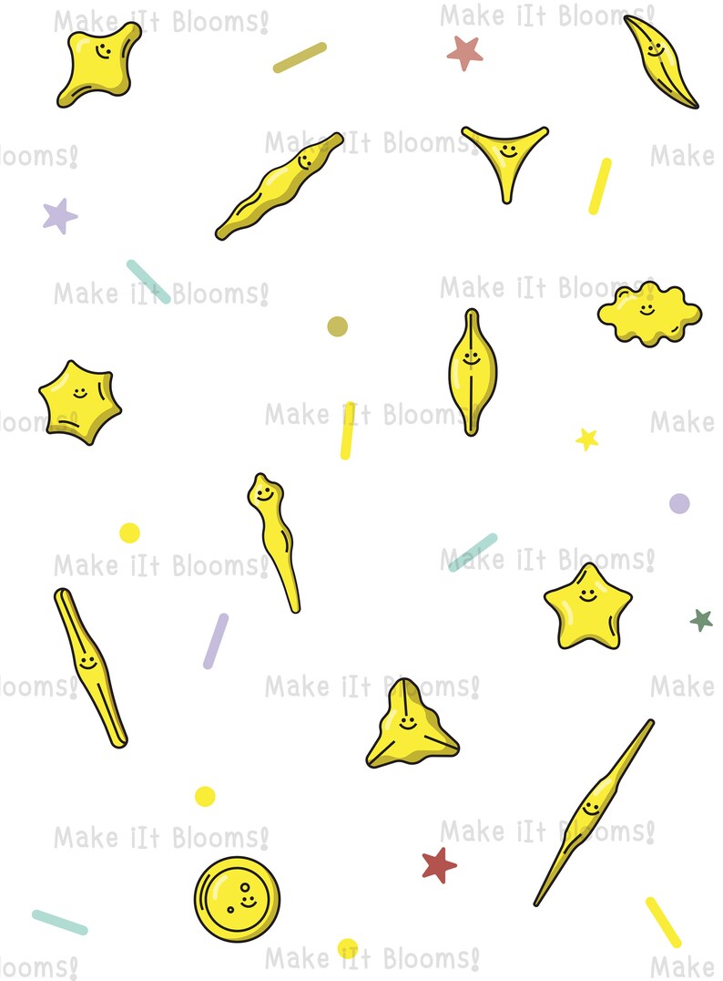 Cute Diatoms/ Diatoms in Various Morphologies/ Lovely Yellow Diatoms ...