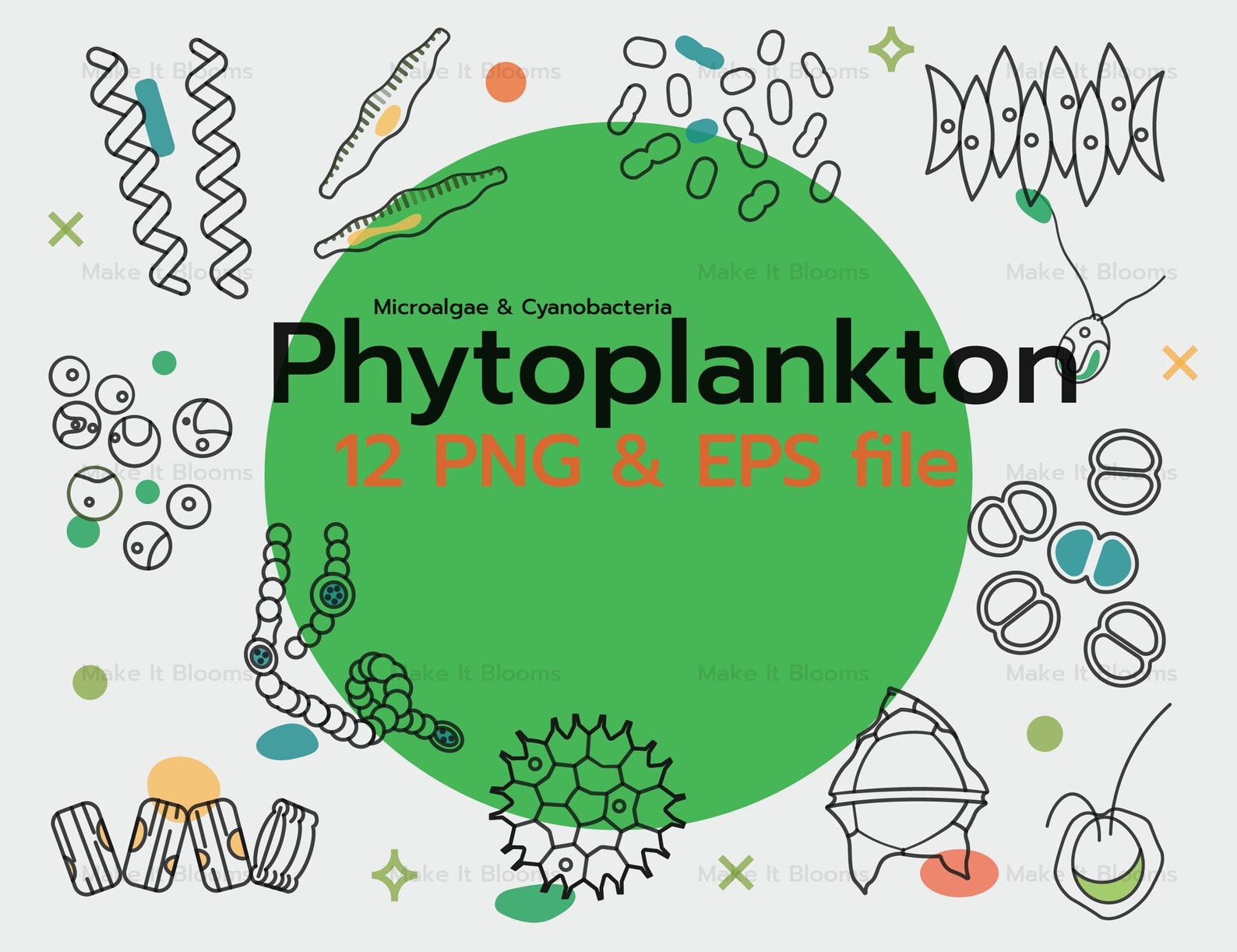 Phytoplankton Clip Art Bundle/ Algae Art/ Microalgae and Cyanobacteria ...
