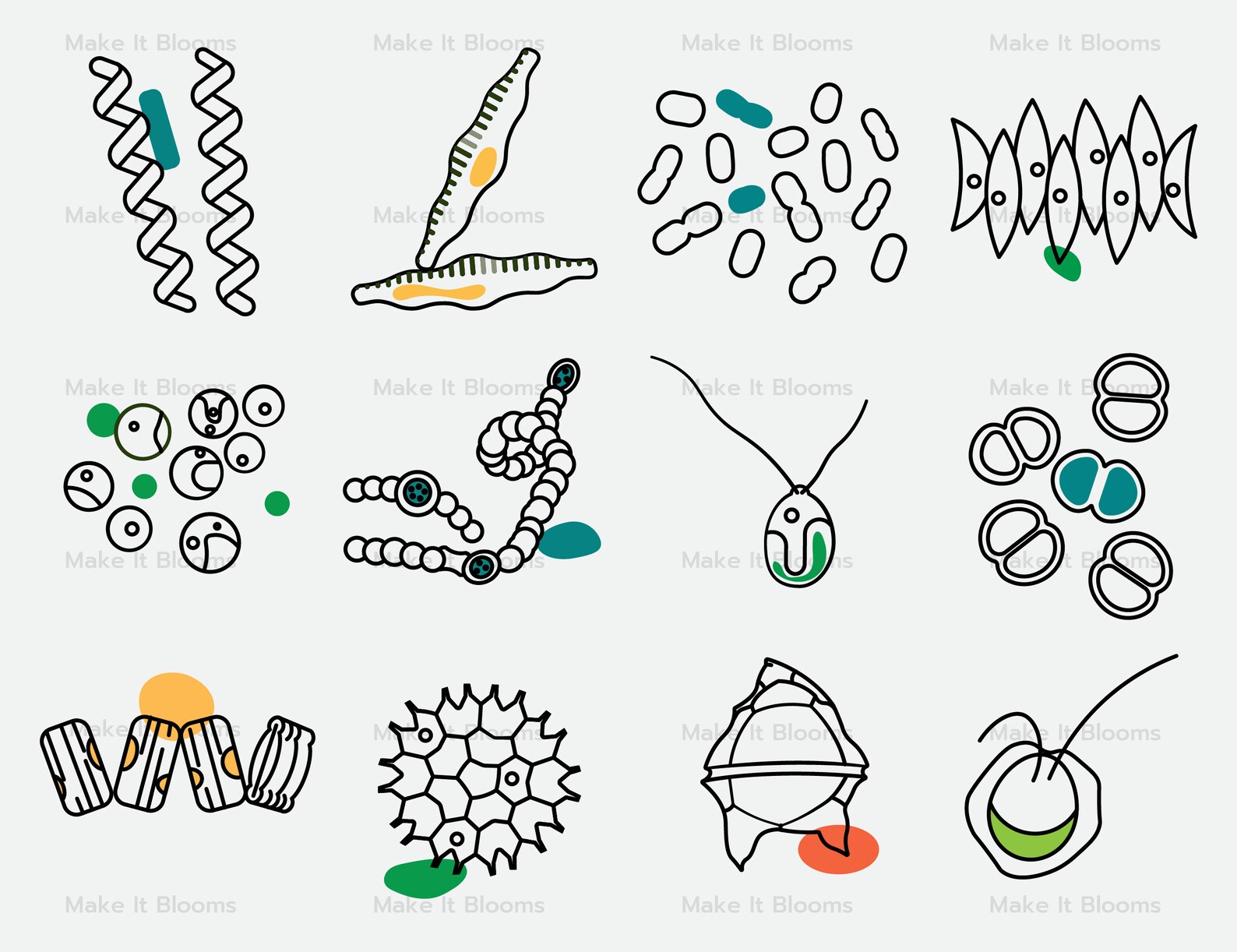 Phytoplankton Clip Art Bundle/ Algae Art/ Microalgae and Cyanobacteria ...
