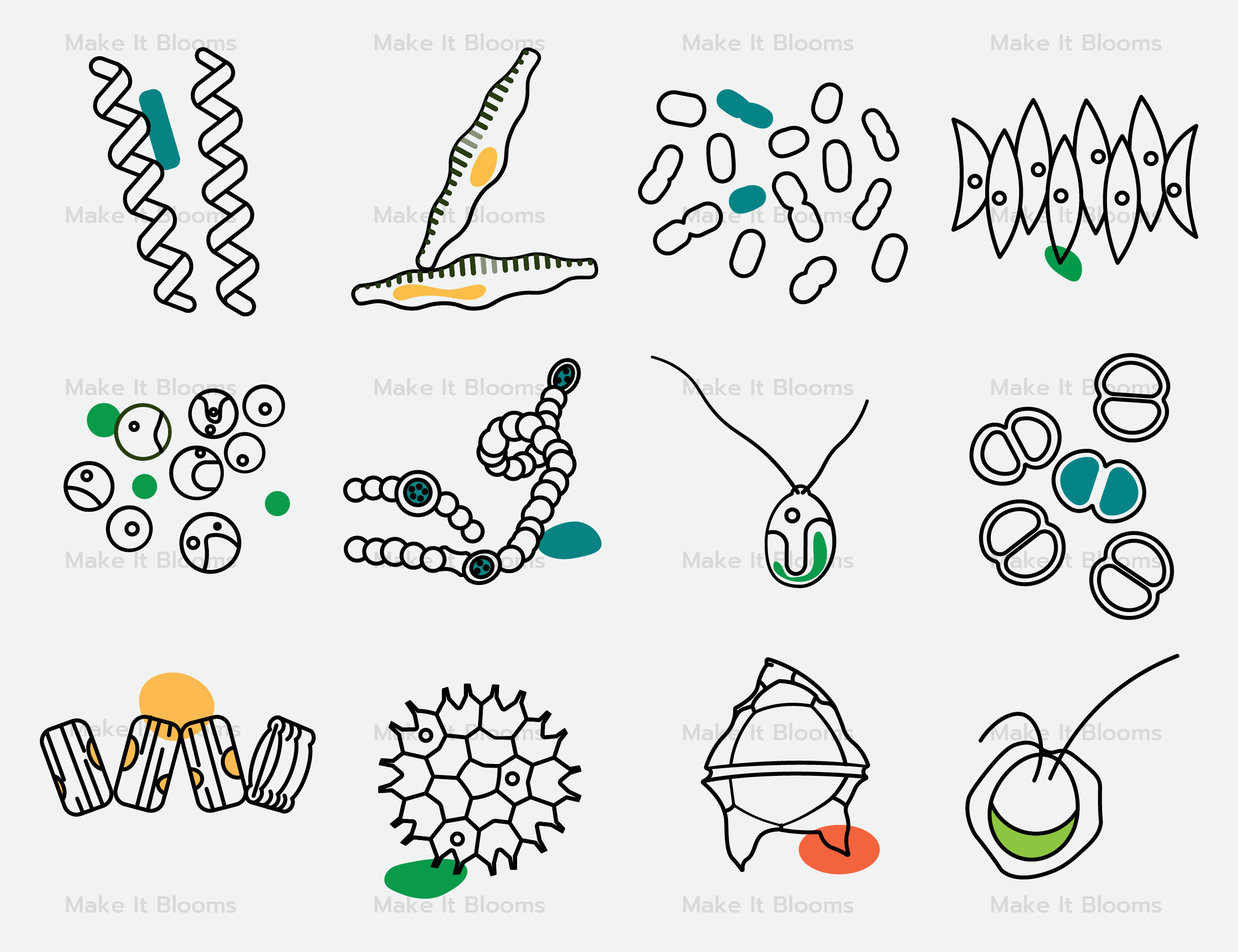 Phytoplankton Clip Art Bundle/ Algae Art/ Microalgae and Cyanobacteria ...