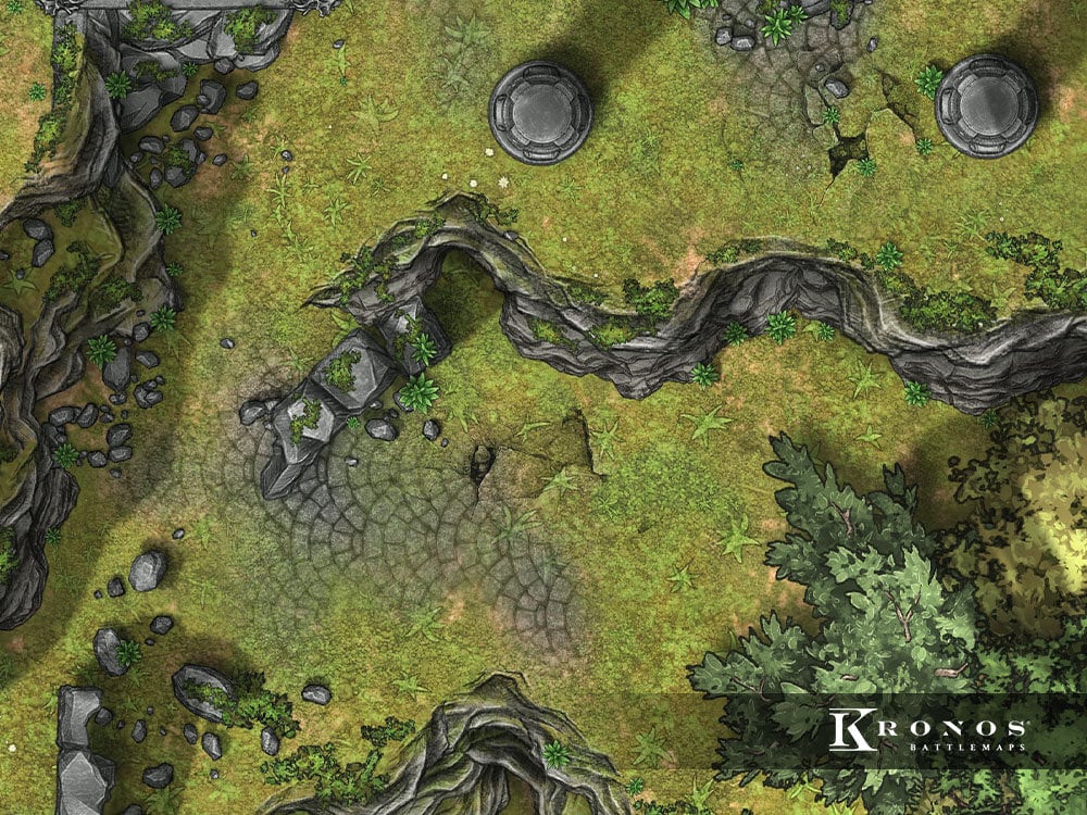 Forest Ruins Digital Battlemap: Dnd 5e VTT Map (40x30) - Etsy