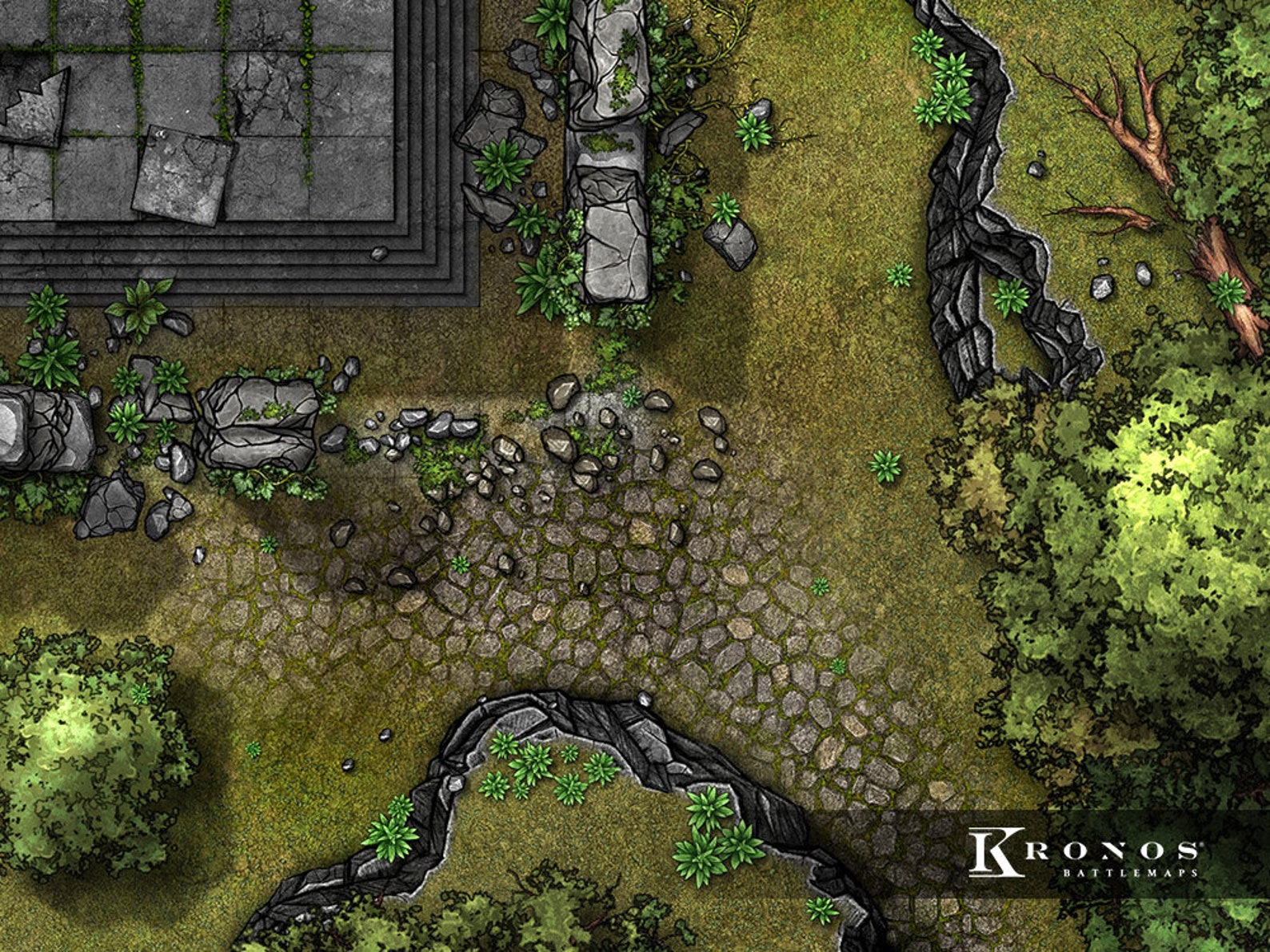 Forest Ruins II Digital Battlemap, Dnd Battle Map, Digital Battle Map ...
