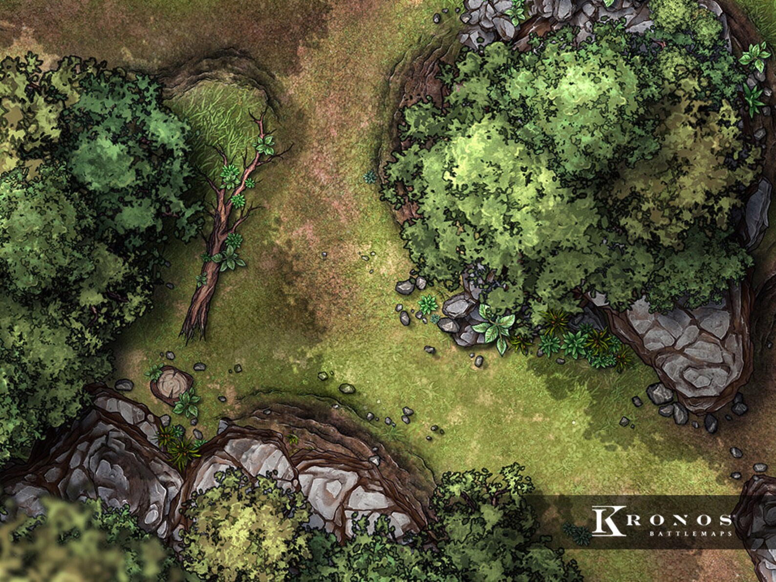 Forest Camp Battlemap: 4k Dnd Digital Map (roll20, Foundry, VTT) - Etsy