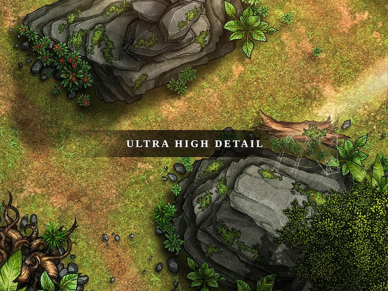 X2 Jungle Temple & Jungle Path Digital Battlemap, Dnd Battle Map ...