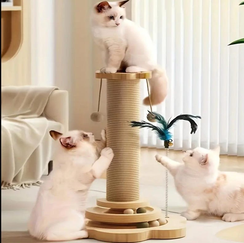 Cat Scratch Pad - Etsy