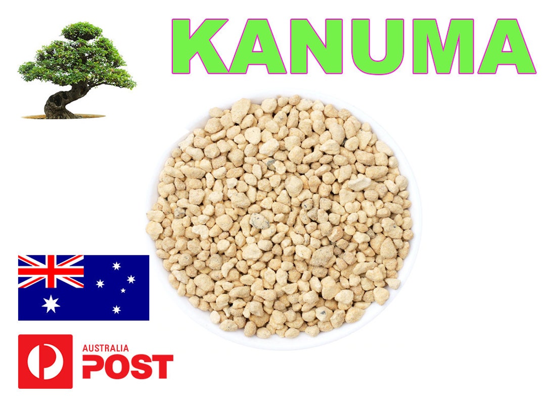 PREMIUM GRADE KANUMA Soil (3 - 5MM) for Succulents, Cactus and Bonsai ...
