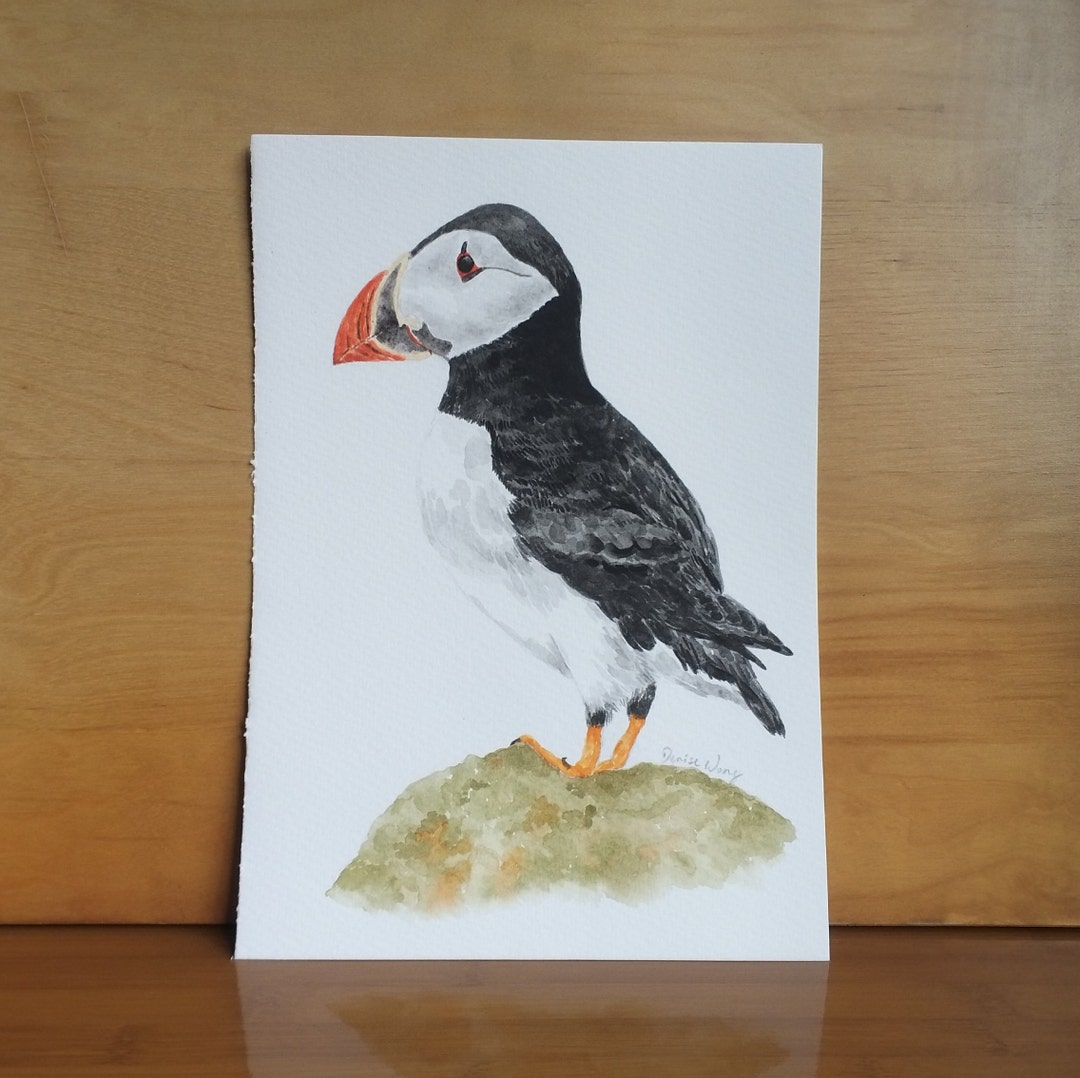 Puffin Original Watercolour Painting / Bird Painting / Beautiful Bird ...