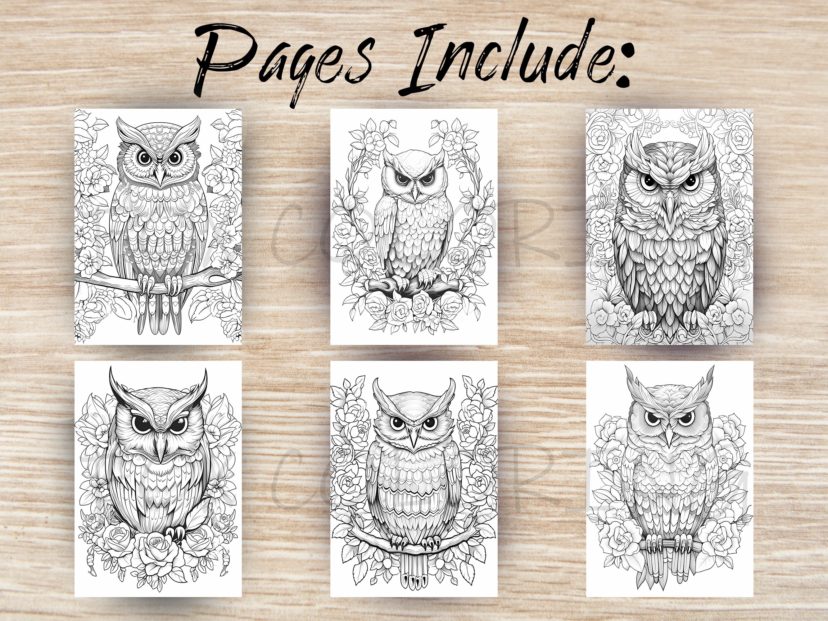 20 Night Owl Nature Exotic Bird Coloring Book for Adults Digital Kids ...