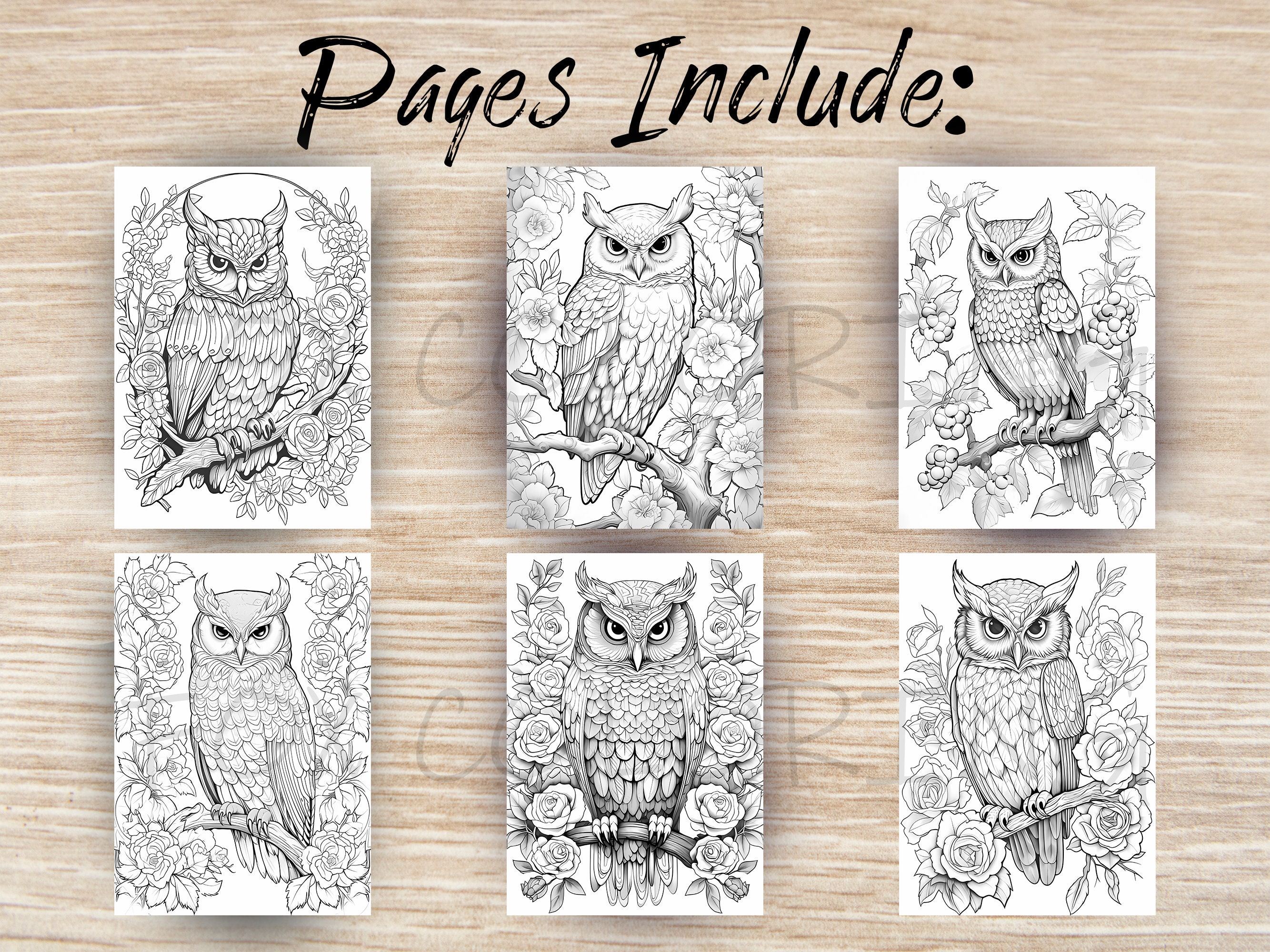 20 Night Owl Nature Exotic Bird Coloring Book for Adults Digital Kids ...