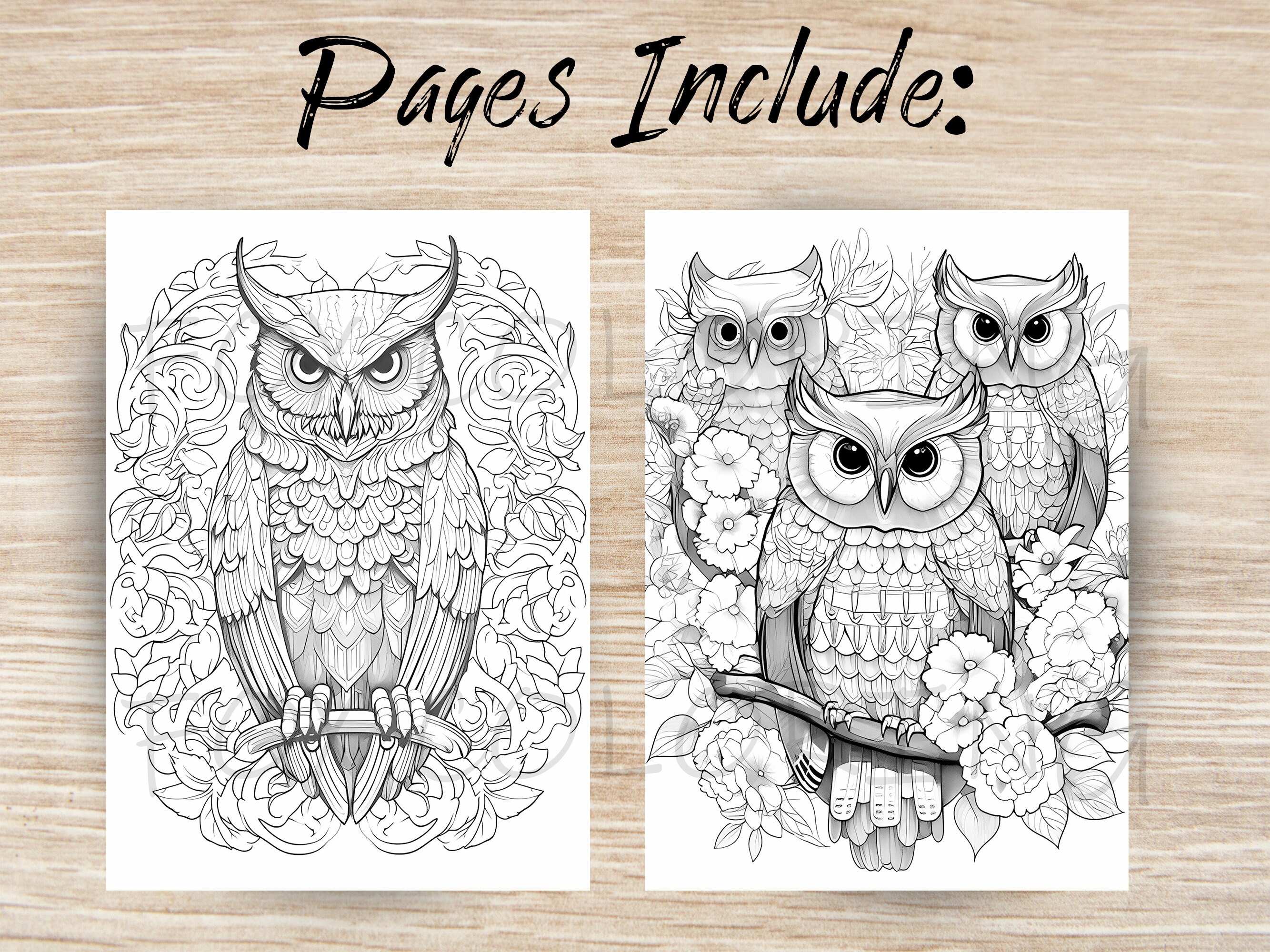20 Night Owl Nature Exotic Bird Coloring Book for Adults Digital Kids ...