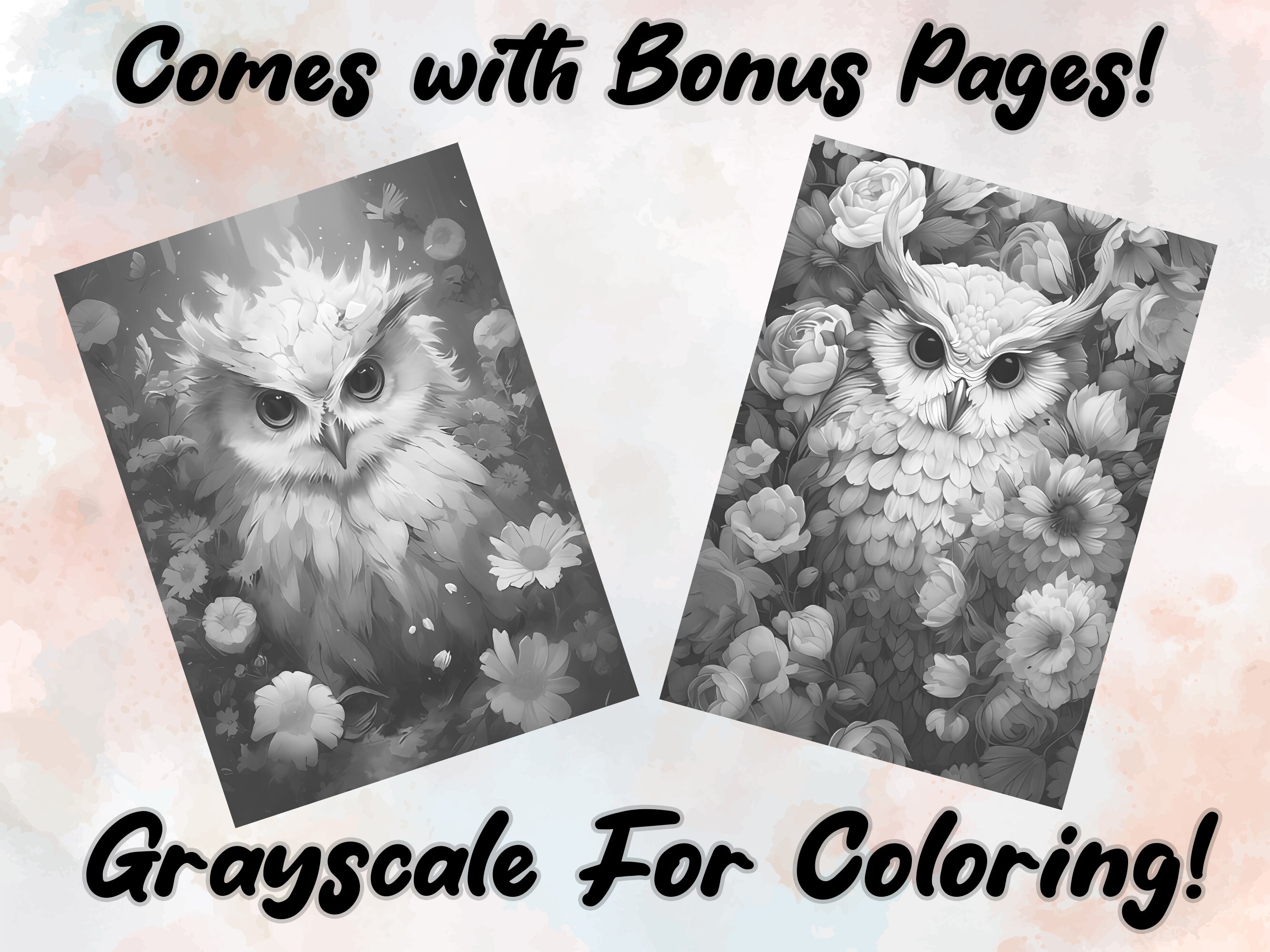 20 Night Owl Nature Exotic Bird Coloring Book for Adults Digital Kids ...