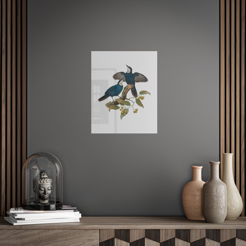 Vintage Birds Poster - Etsy