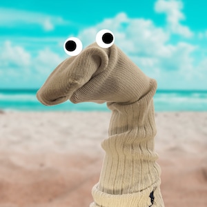 Sock Puppet Pngtuber Model Carl white Sock - Etsy