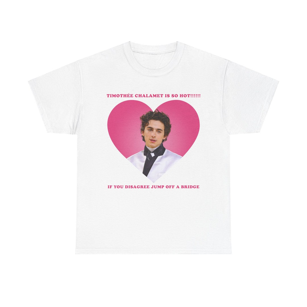 Timothée Chalamet is so Hot Funny Meme Shirt - Etsy