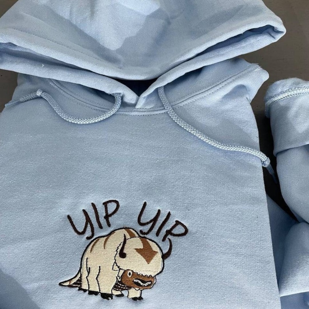 Appa Cloud Matching Hoodie Appa Anime Embroidered Sweatshirt - Etsy