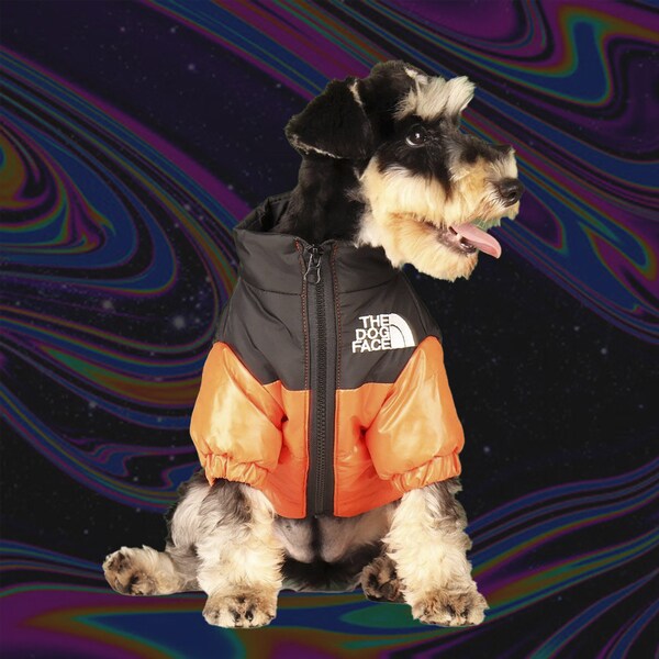 Dog North Face Jacket - Etsy
