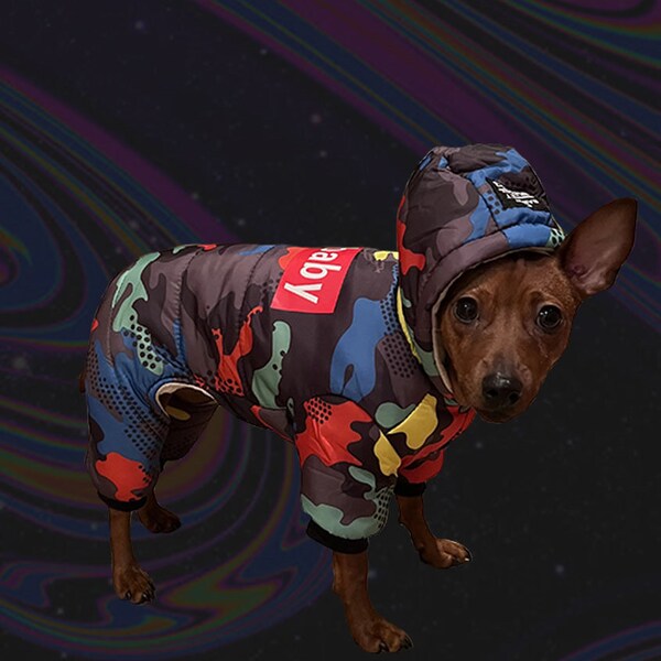 Camo Dog Coat - Etsy