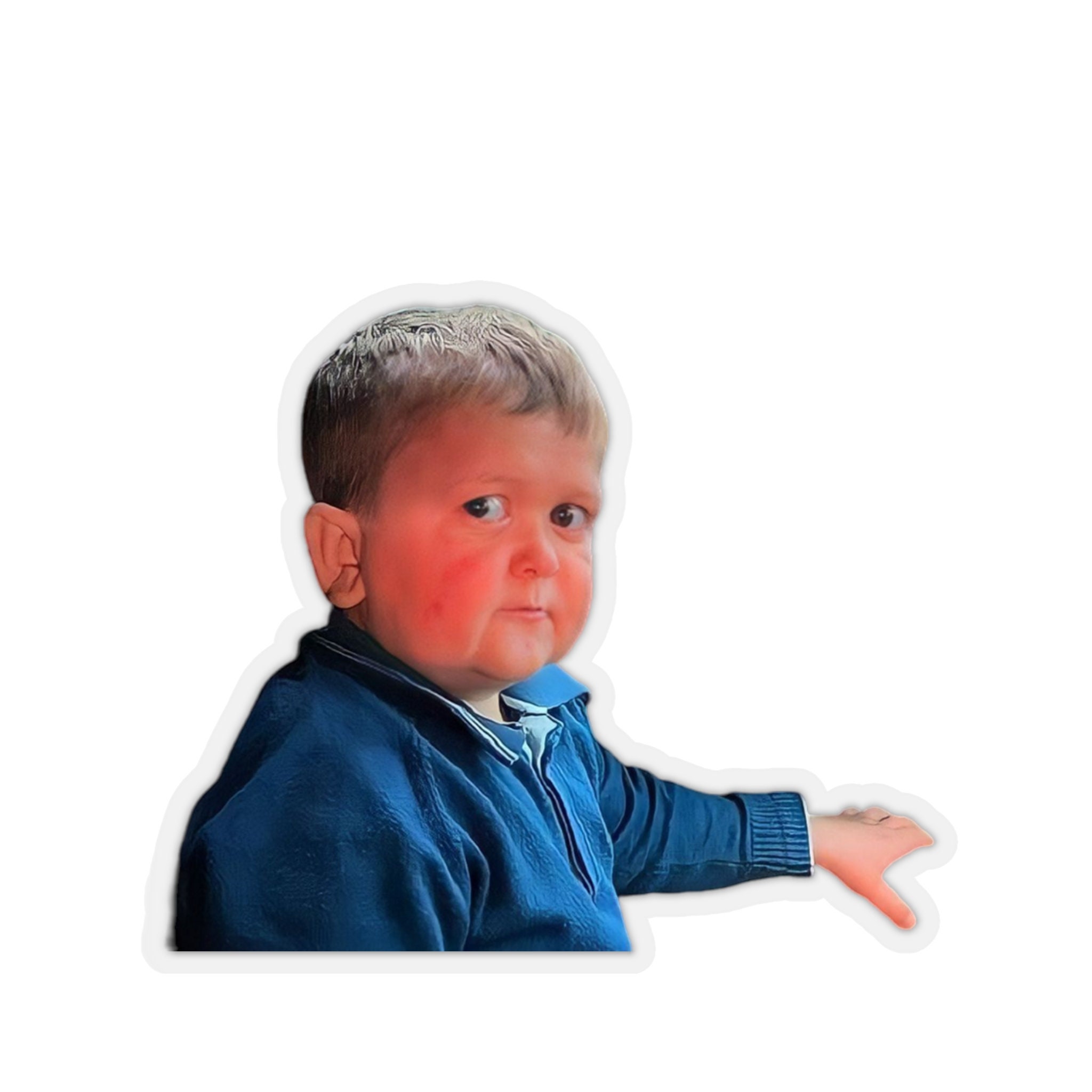 Hasbulla Full Body Side Eye Vinyl Sticker Decal - Etsy Australia