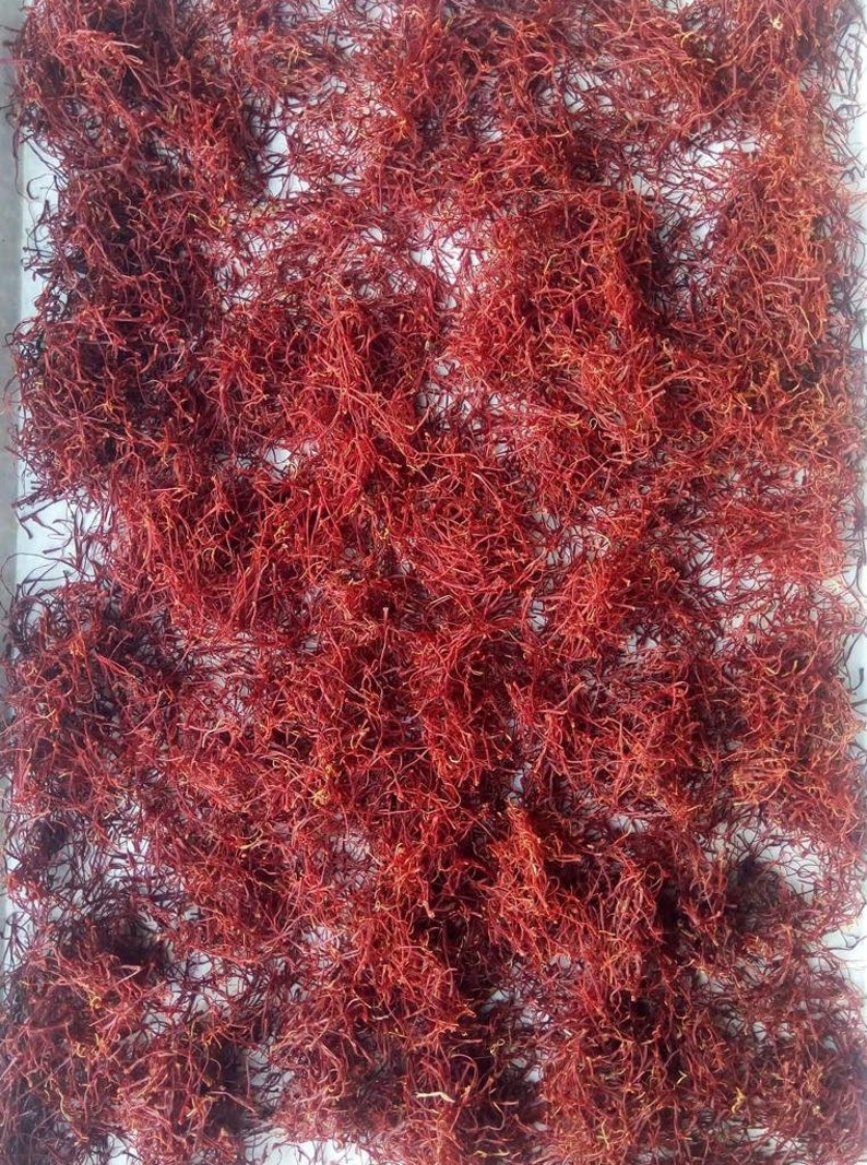 Bulbes de safran *Crocus sativus* 10 bulbes de safran Fresh Breeder ...