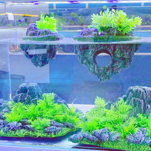 Floating Pond Island - Etsy