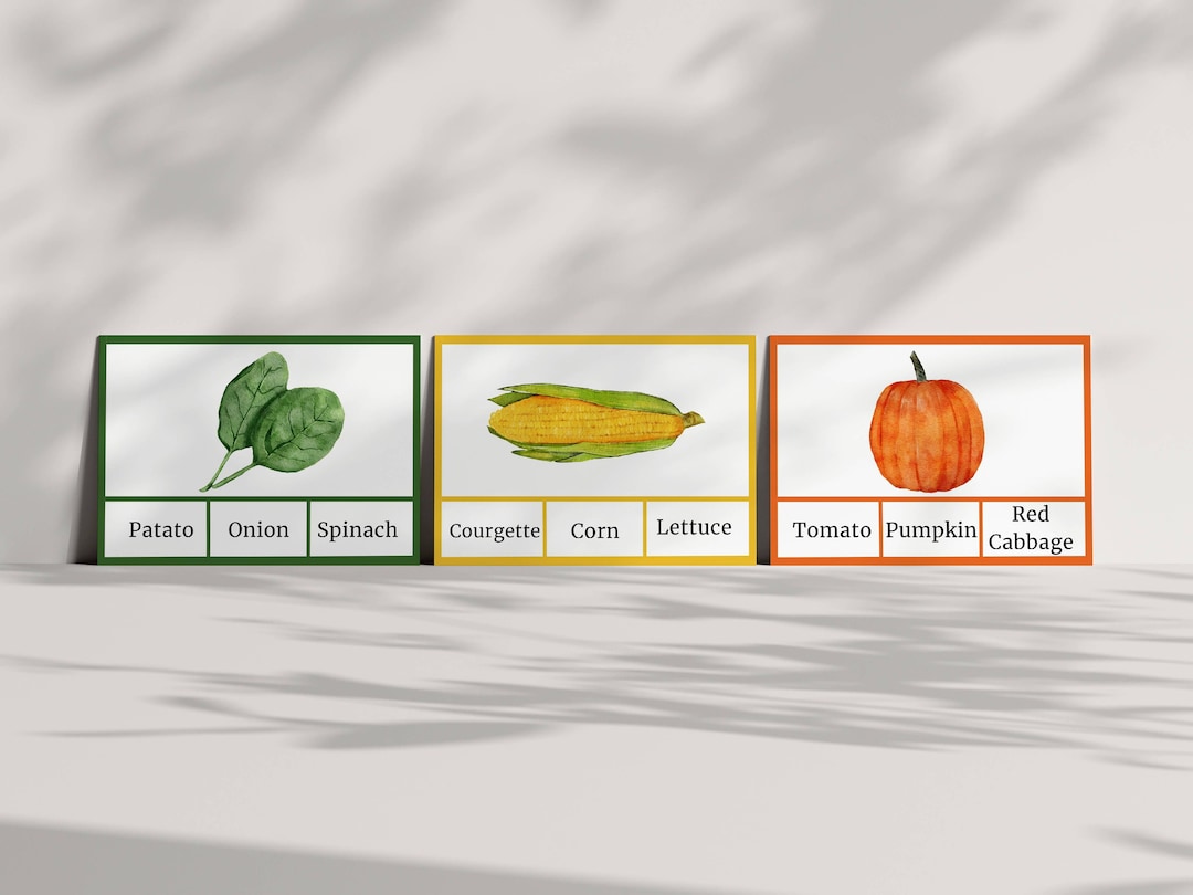 Matching Vegetables Flash Cards Educational Game Memory - Etsy