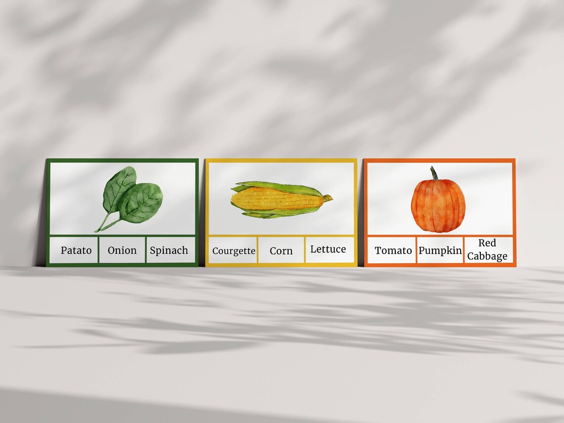 Matching Vegetables Flash Cards Educational Game Memory - Etsy